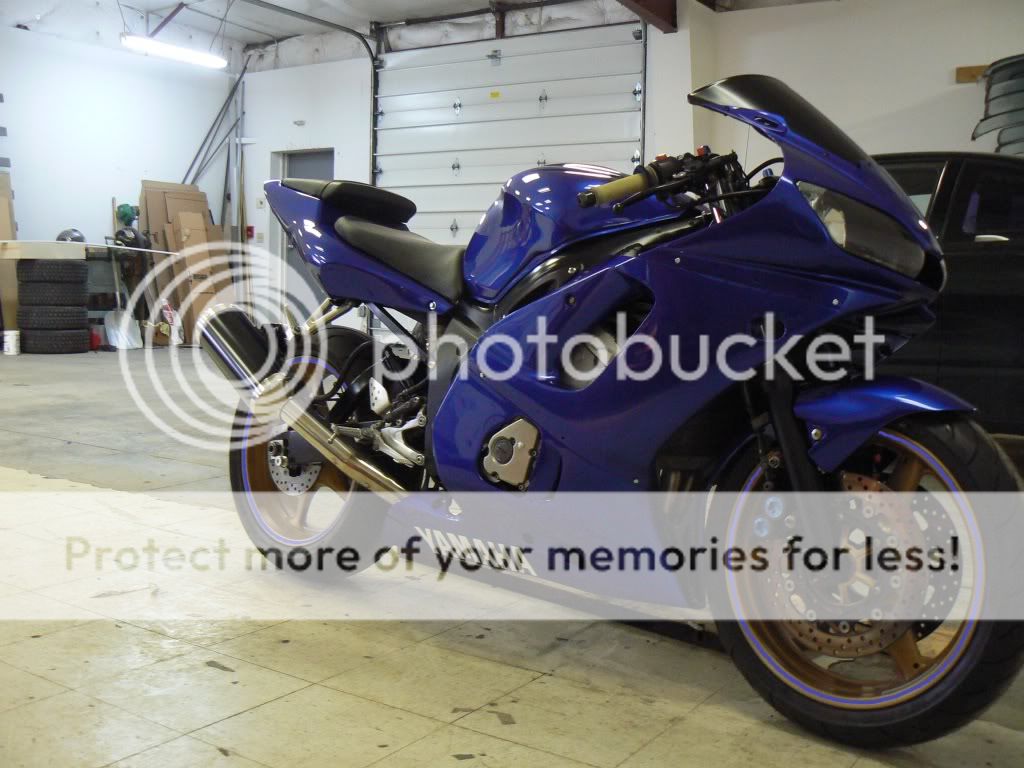 blue stripes on gold rims??paint shop style | Yamaha R6 Forum: YZF-R6 ...